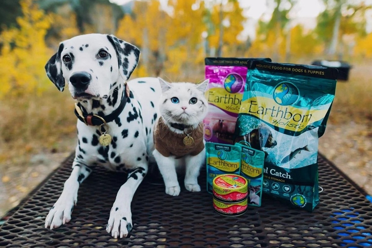 فیلم| مردم کدوم کشور غذای سگ و گربه میخورن؟